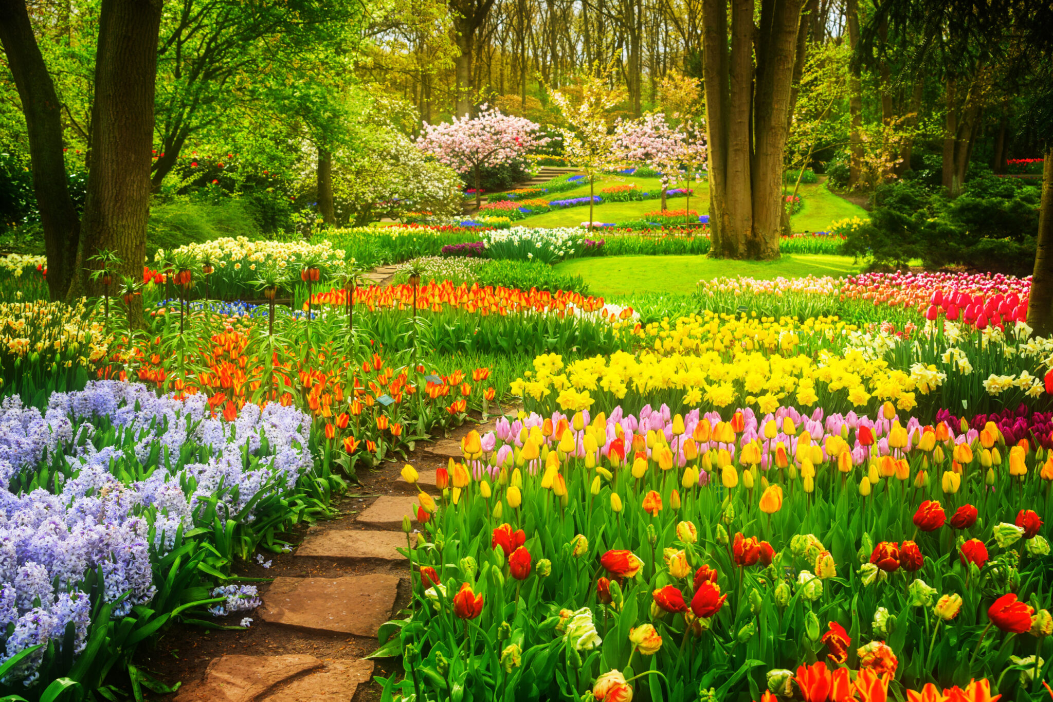 10 Springtime Celebrations from Around the World | Odysseys Unlimited