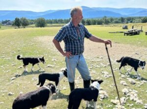Small Group Highlight: Sheepdog Demonstration | Odysseys Unlimited