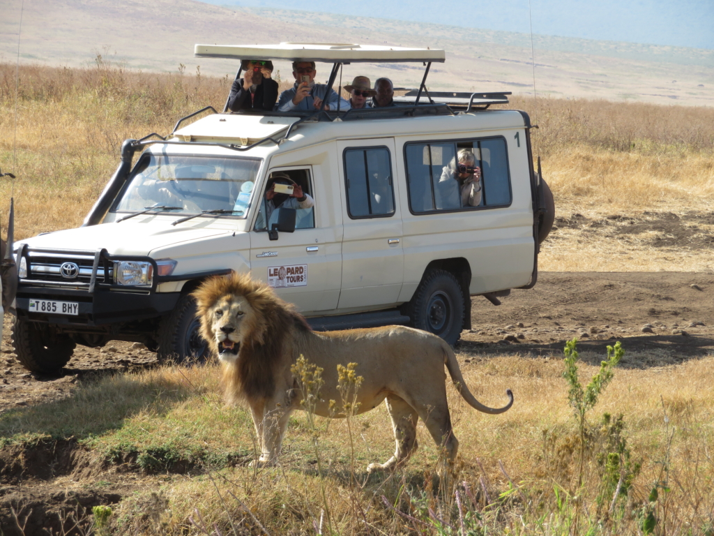 Travel Experiences for All 5 Senses | Odysseys Unlimited