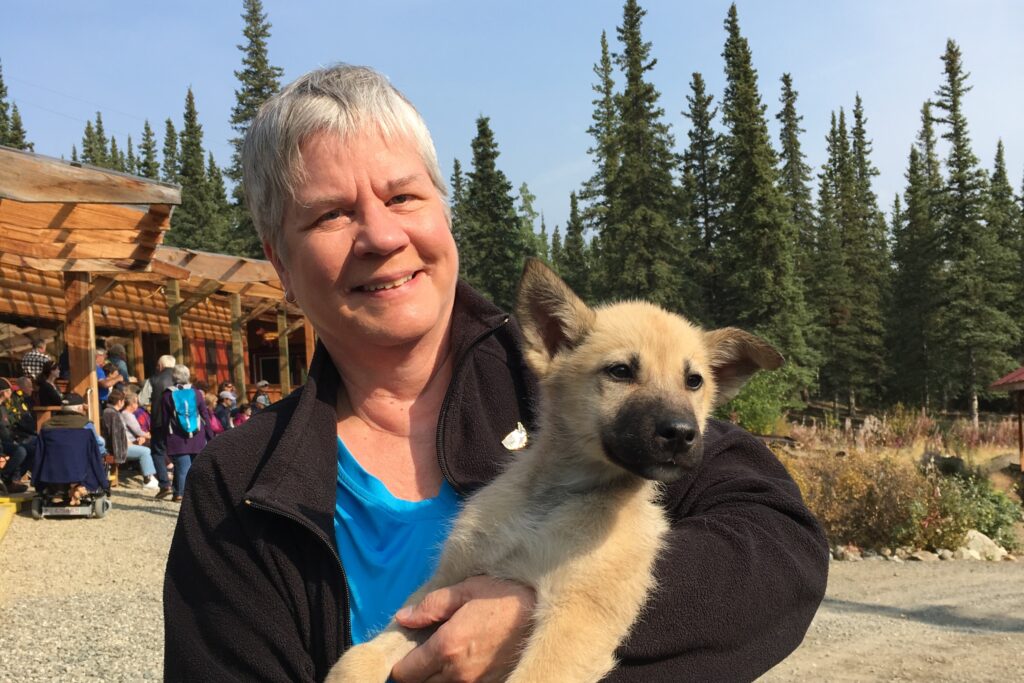 Small Group Highlight: Alaskan Iditarod Sled Dog Kennel | Odysseys ...